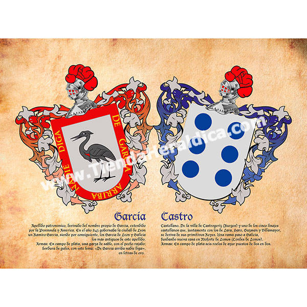 Escudos heráldicos de los apellidos - Tienda Heráldica México
